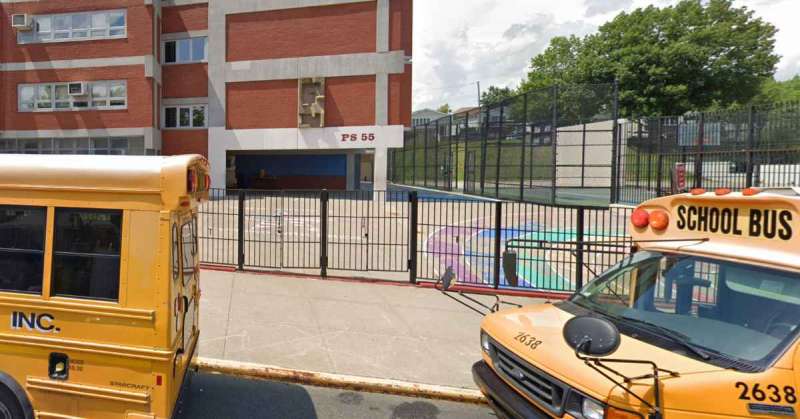 NCAC protests the disposal of hundreds of school library books at New ...